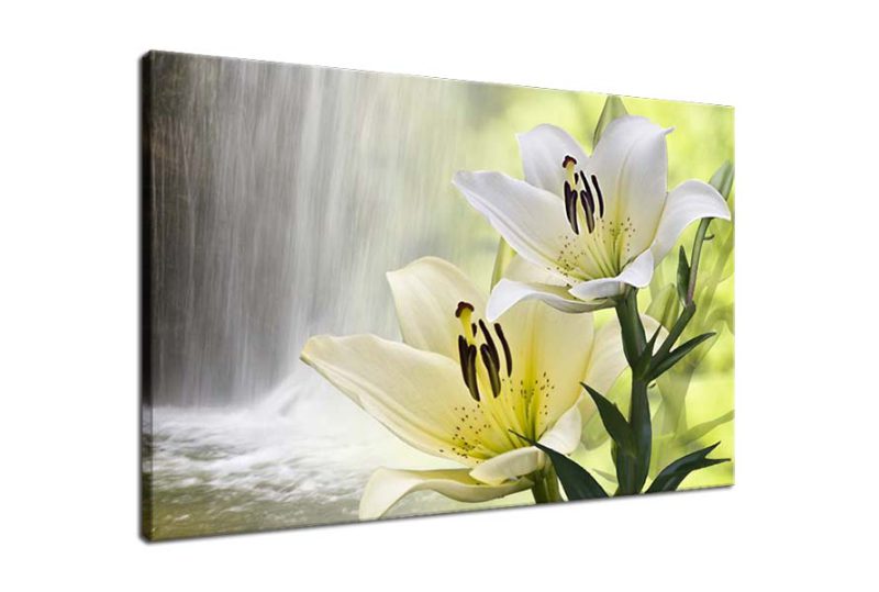 Obraz Kvet ľalia zs24718 | Obrazy s kvetmi | Kvety na obrazoch | DECOTREND