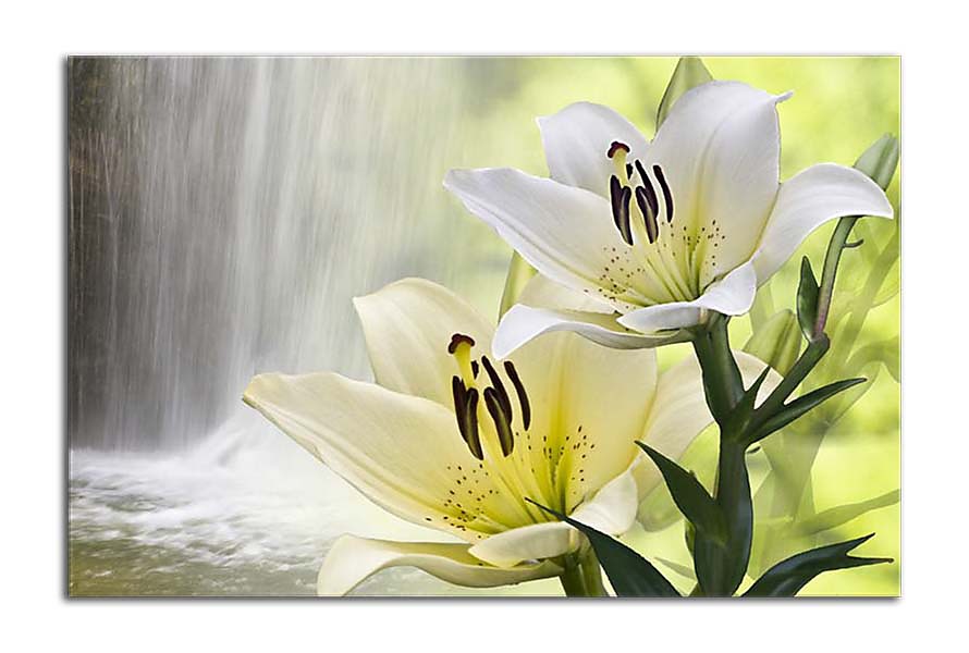 Obraz Kvet ľalia zs24718 | Obrazy s kvetmi | Kvety na obrazoch | DECOTREND